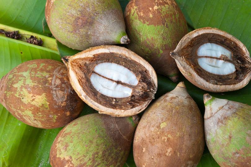 What Is Babassu Oil And What Are The Skin And Health Benefits? | Glamour UK