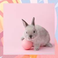 20 Adorable Cats To Soothe Your Blue Monday Blues | Glamour UK