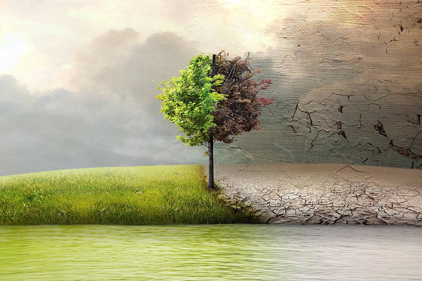 The Best TV Shows To Explain The Environmental Crisis | Glamour UK