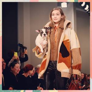 20 Adorable Cats To Soothe Your Blue Monday Blues | Glamour UK