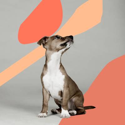 Why swearing is good for you | Glamour UK