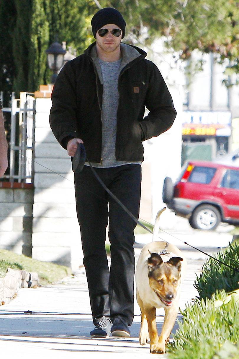 Celebrities with Cute Animals – Celebs With Dogs | Glamour UK