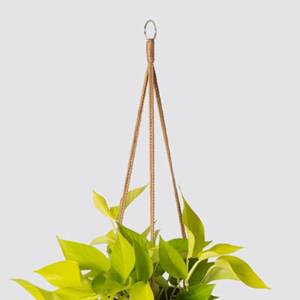11 best hanging plants to decorate your home with | 2021 | Glamour UK