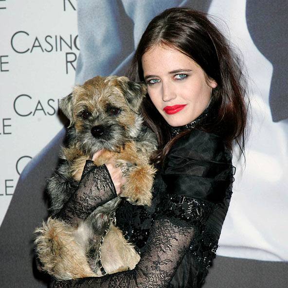 Celebrity Pets - Cute Pets On Instagram | Glamour UK